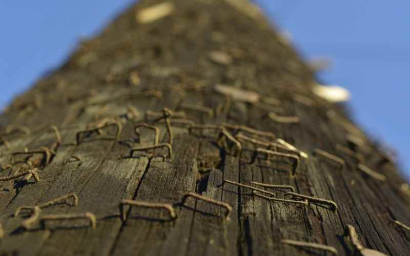 Can You Use Staples On House Wrap Explained 2023 